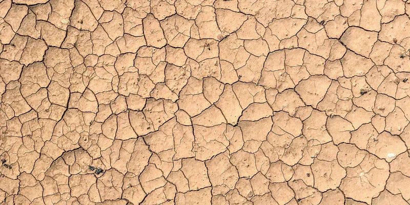 Sécheresses cutanées : tout comprendre sur la peau sèche à très sèche ...